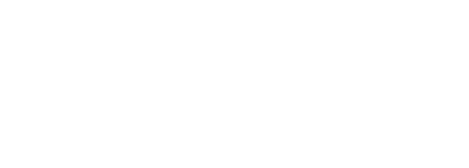 dish logo